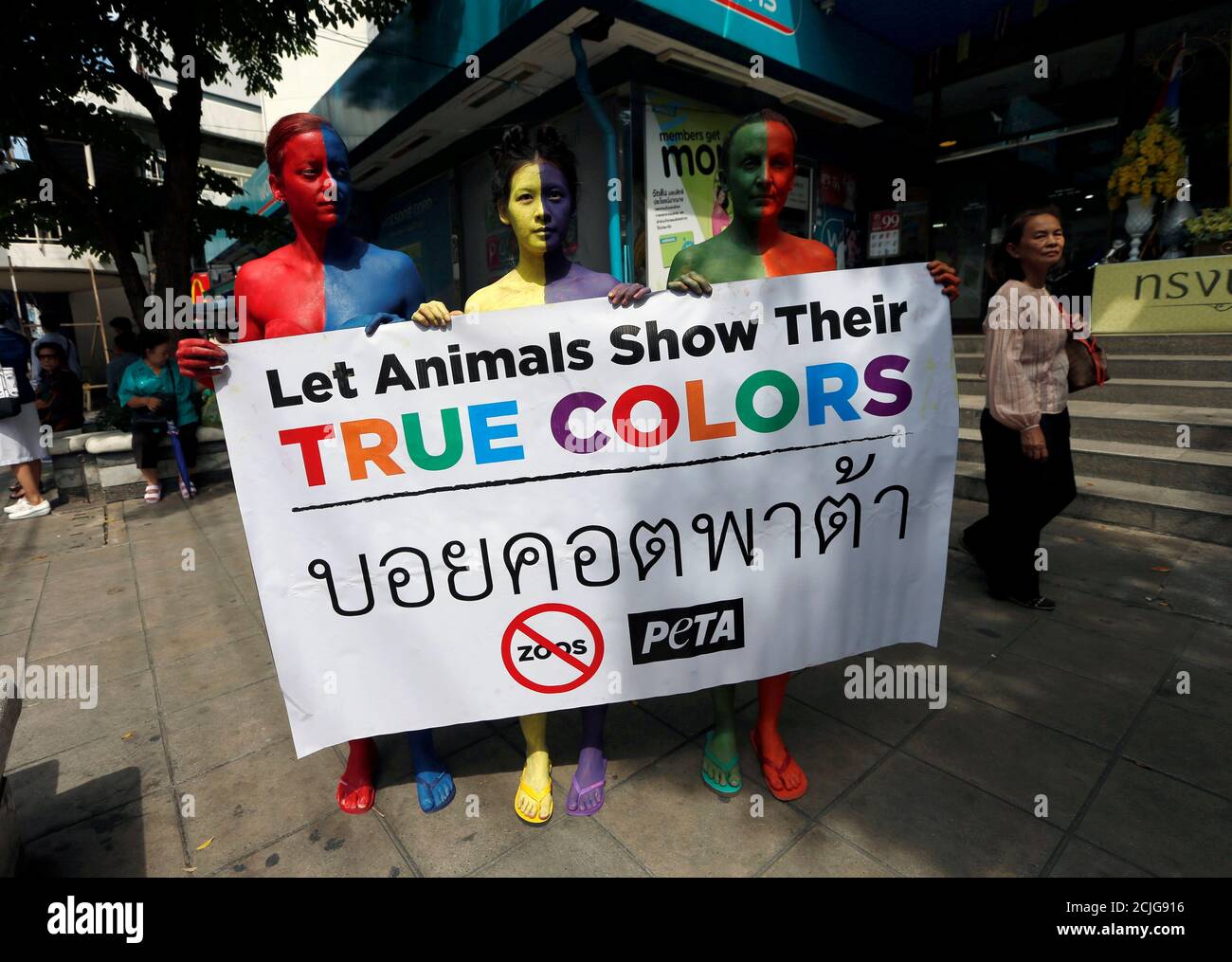 Pata zoo hi-res stock photography and images - Alamy