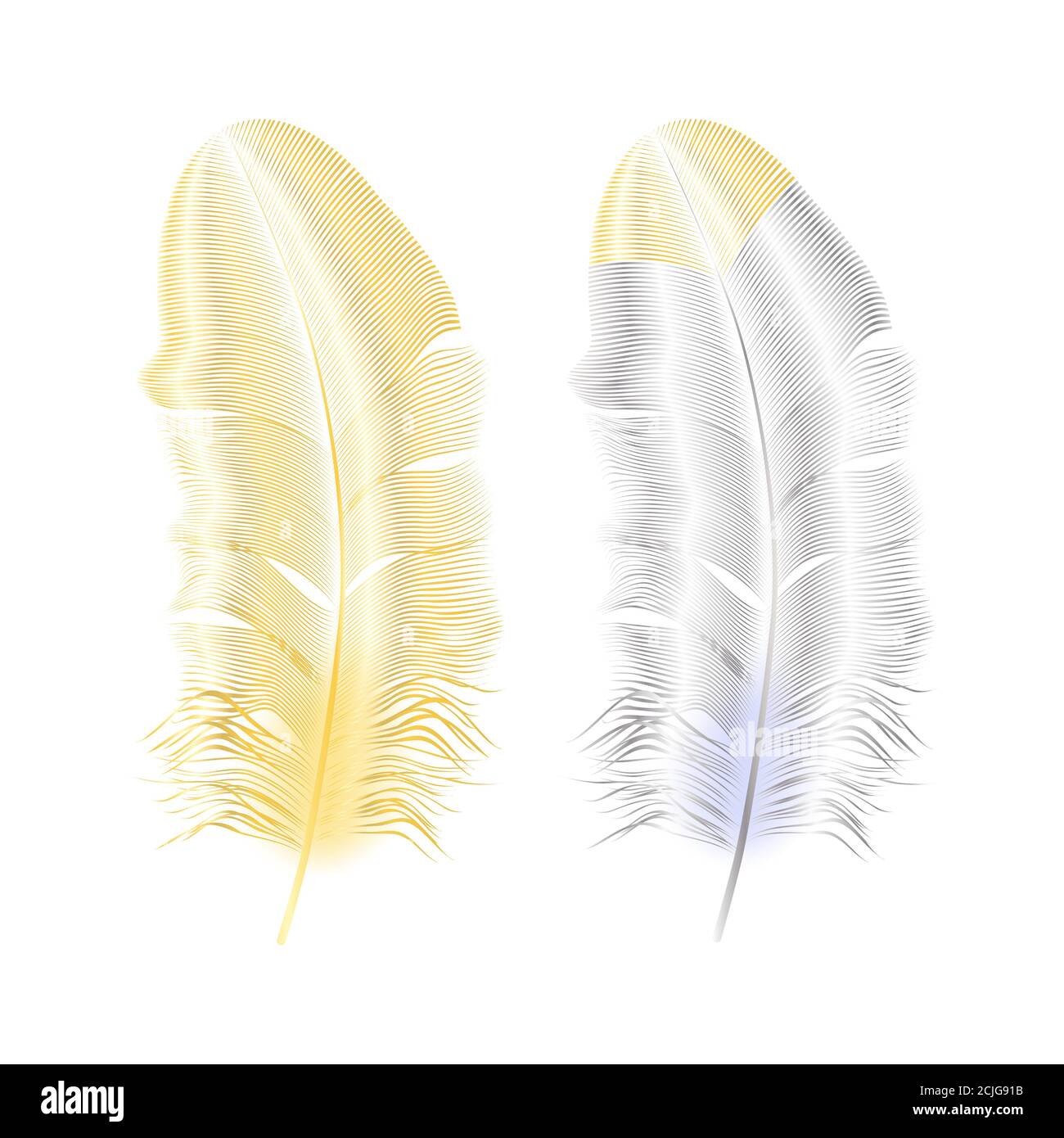 Golden feathers elements Stock Vector Images - Alamy