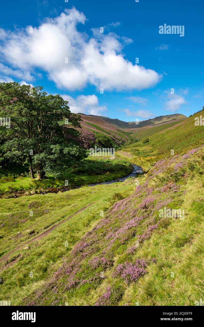 Path along Fairbrook leading up to the northern edge of Kinder Scout ...
