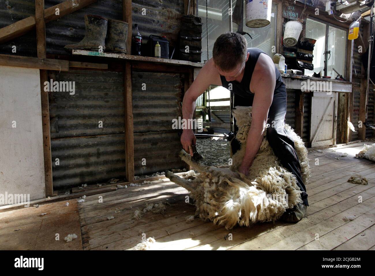 Portobello New Zealand High Resolution Stock Photography and Images - Alamy