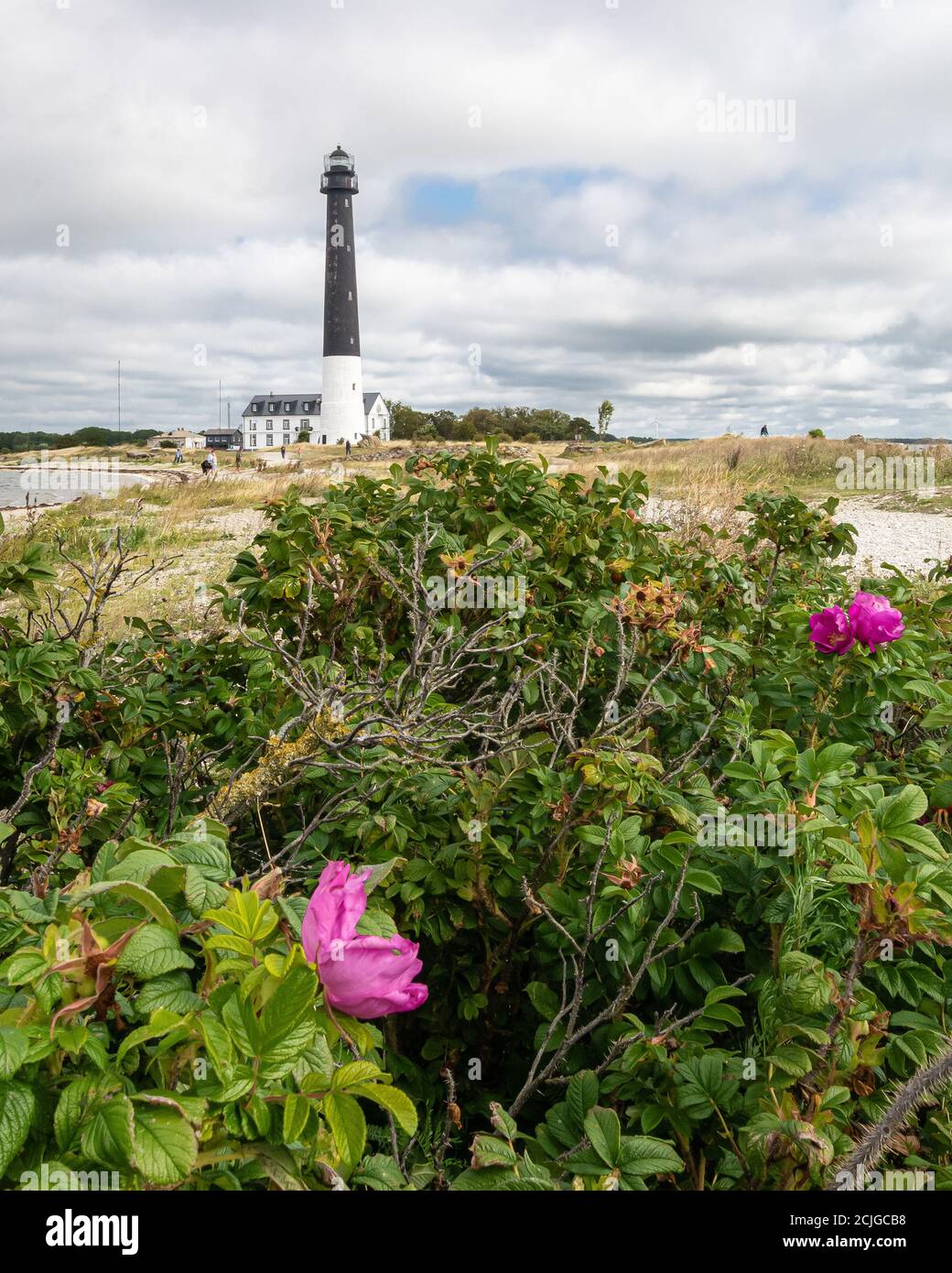 Sightseeing of Saaremaa island. Sõrve lighthouse is a popular landmark ...