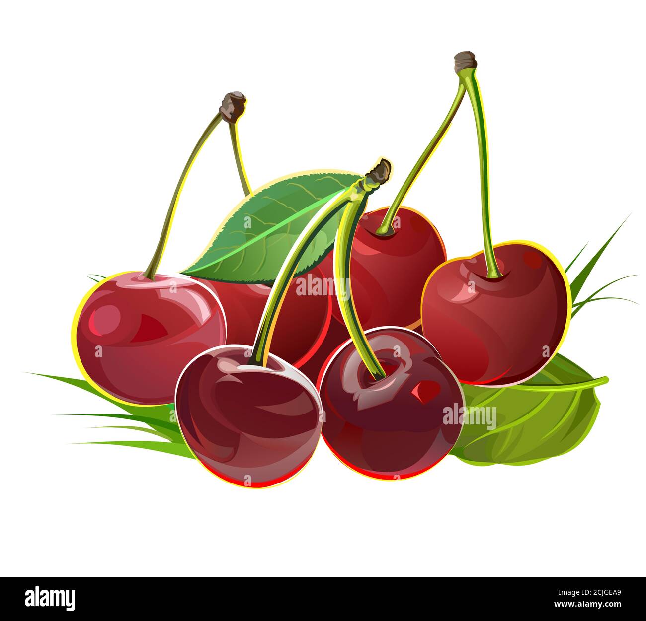 Sweet cherries in group Stock Vector Images - Alamy