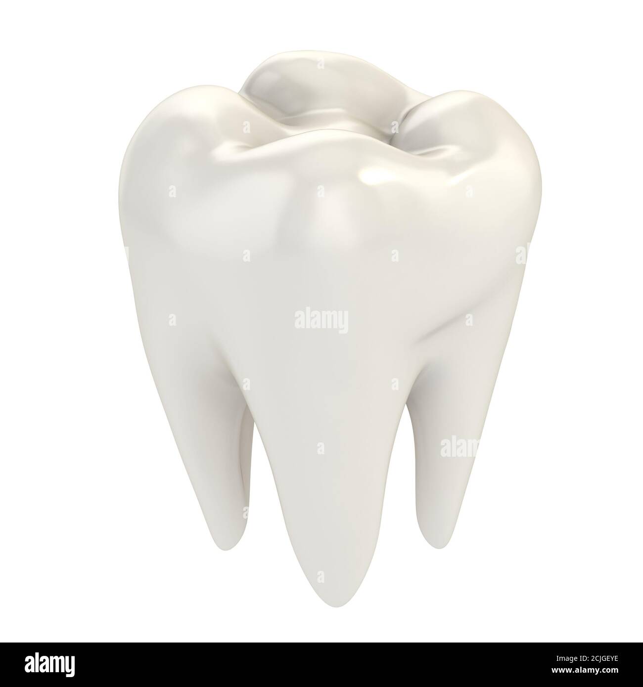 tooth on white background 3d illustration Stock Photo - Alamy