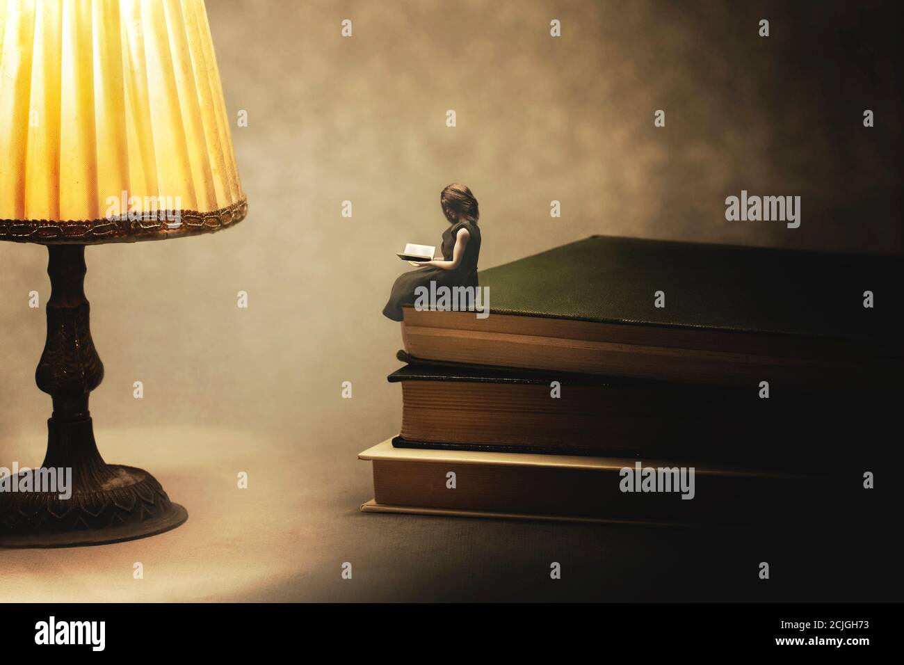 Woman reading books in the room hi-res stock photography and images - Alamy