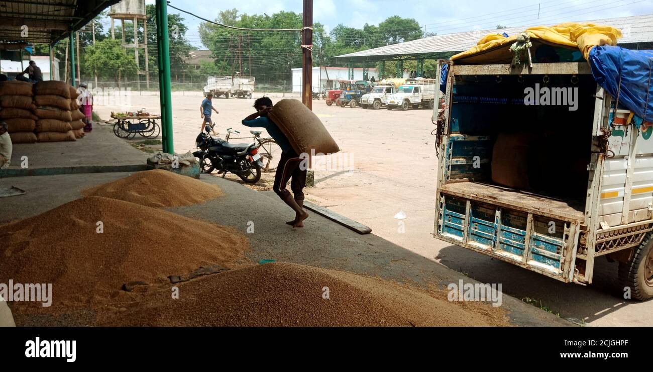 DISTRICT KATNI, INDIA - AUGUST 06, 2019: Indian village farmers ...