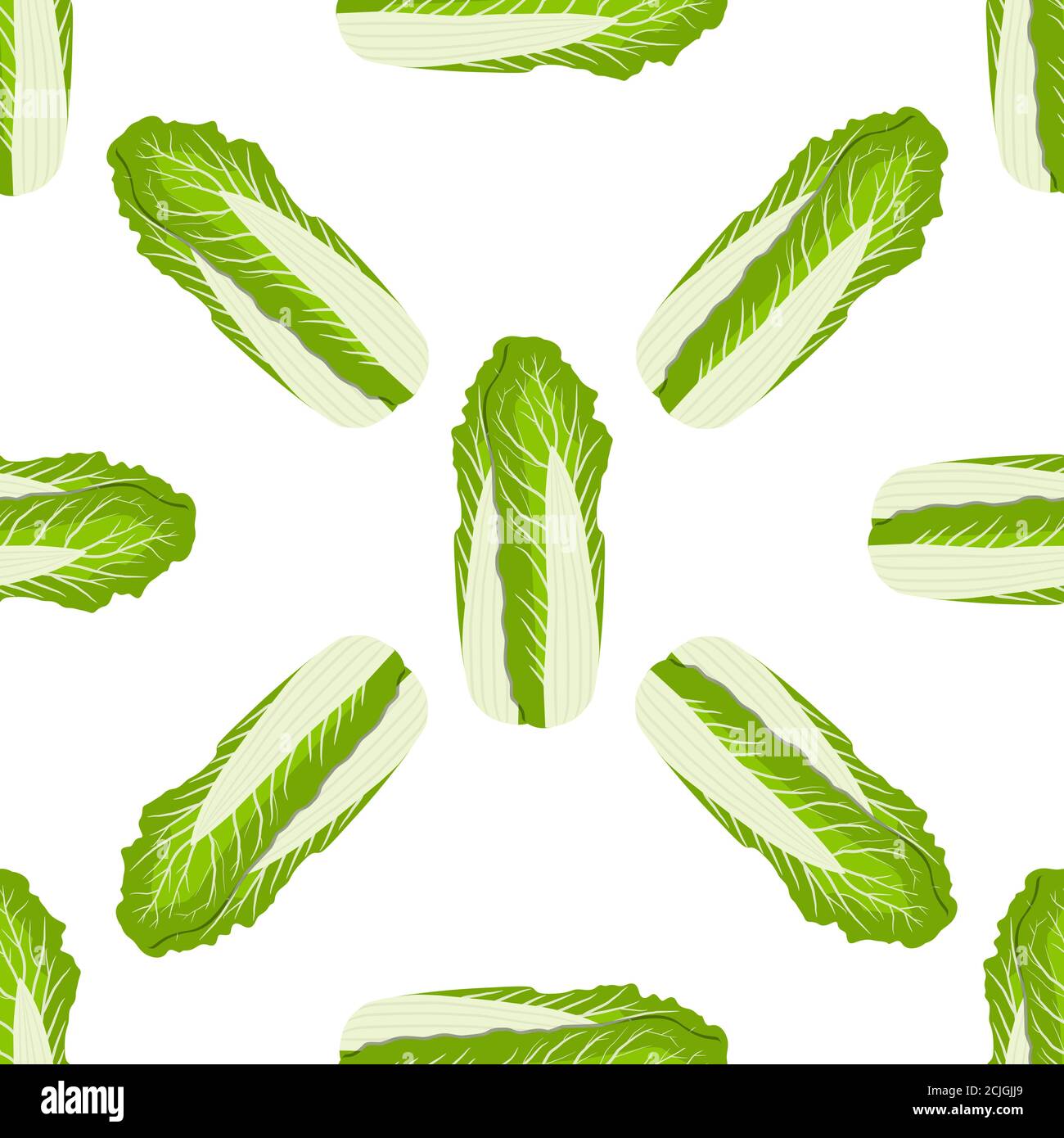 Illustration pattern chinese cabbage, vegetable salad for seal ...