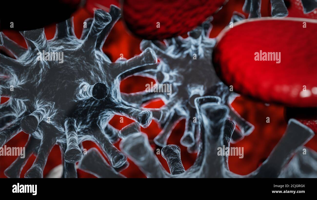 3d illustration of a macro view of red blood cells and grey viruses ...