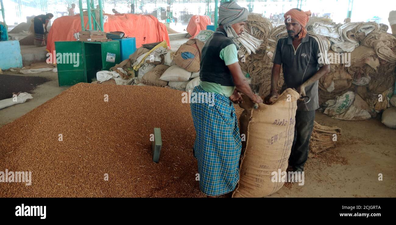 Farmers mandi india hi-res stock photography and images - Alamy
