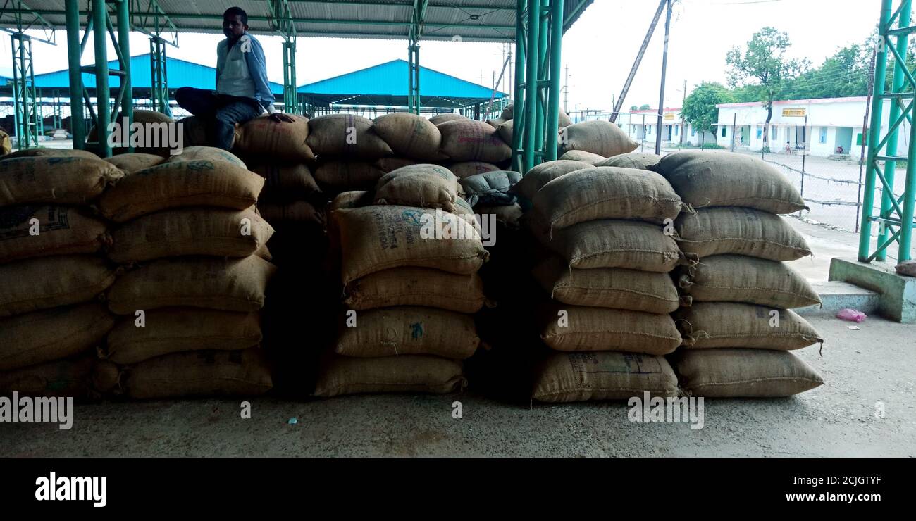 DISTRICT KATNI, INDIA - AUGUST 04, 2019: Wheat sacks kept at ...