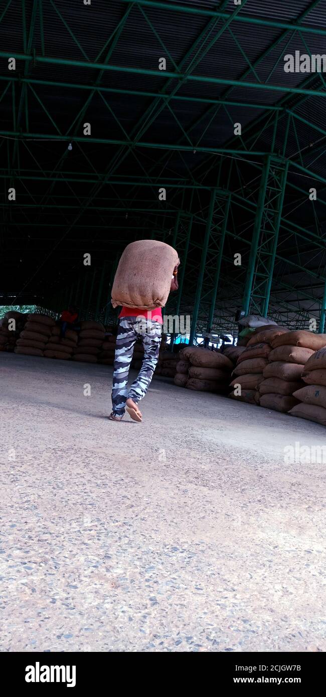 Indian man carrying sack rice hi-res stock photography and images - Alamy