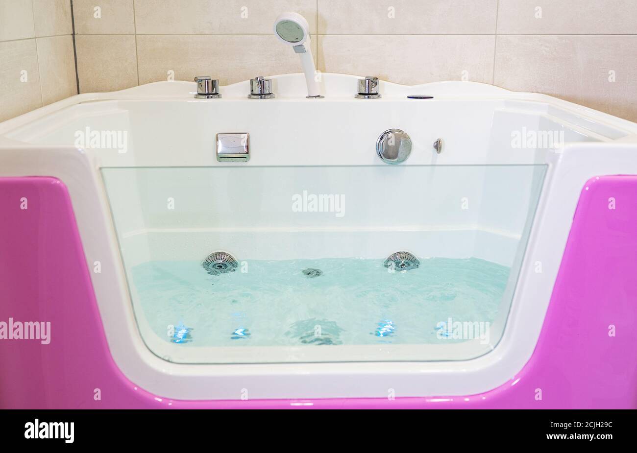 Bath for bathing dogs and cats in grooming salon Stock Photo - Alamy