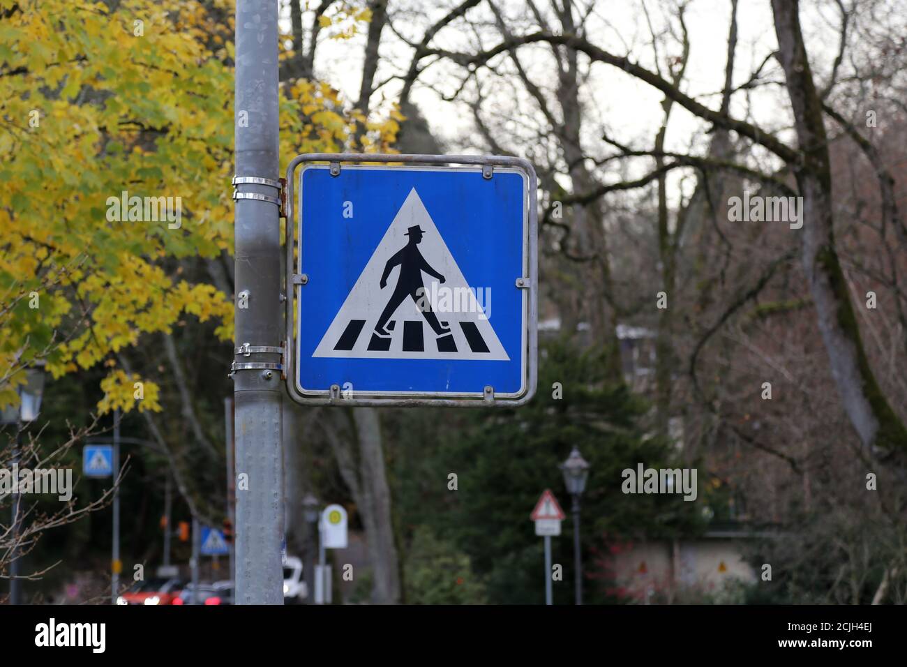 Blue road crossing sign on a pipe surrounded by trees with a blurry ...