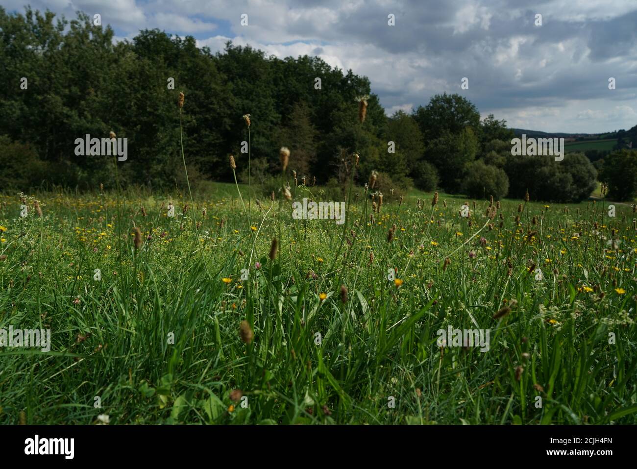 Beautiful shot countryside scenery hi-res stock photography and images ...