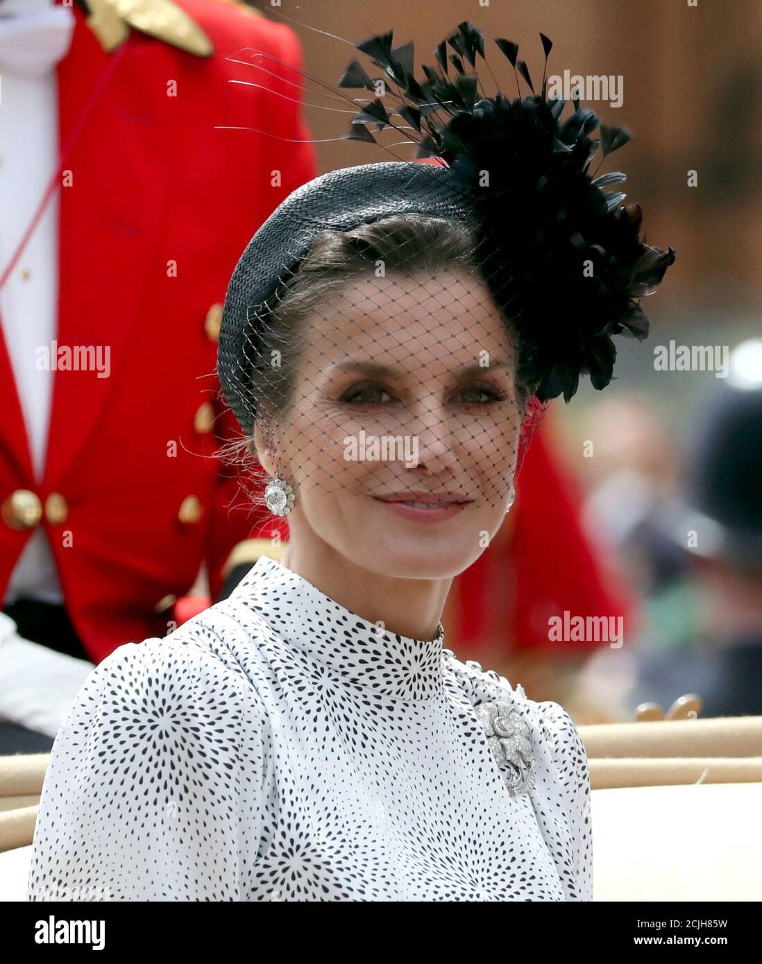 Wparota royal garter hi-res stock photography and images - Alamy