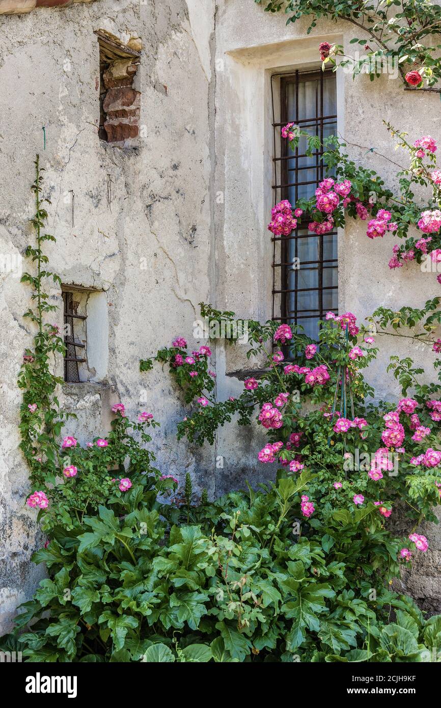 Grum hi-res stock photography and images - Alamy