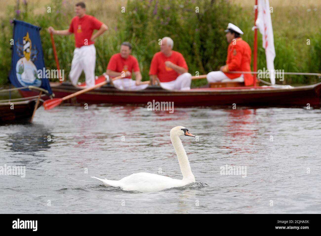 Annual counting of swans hi-res stock photography and images - Alamy