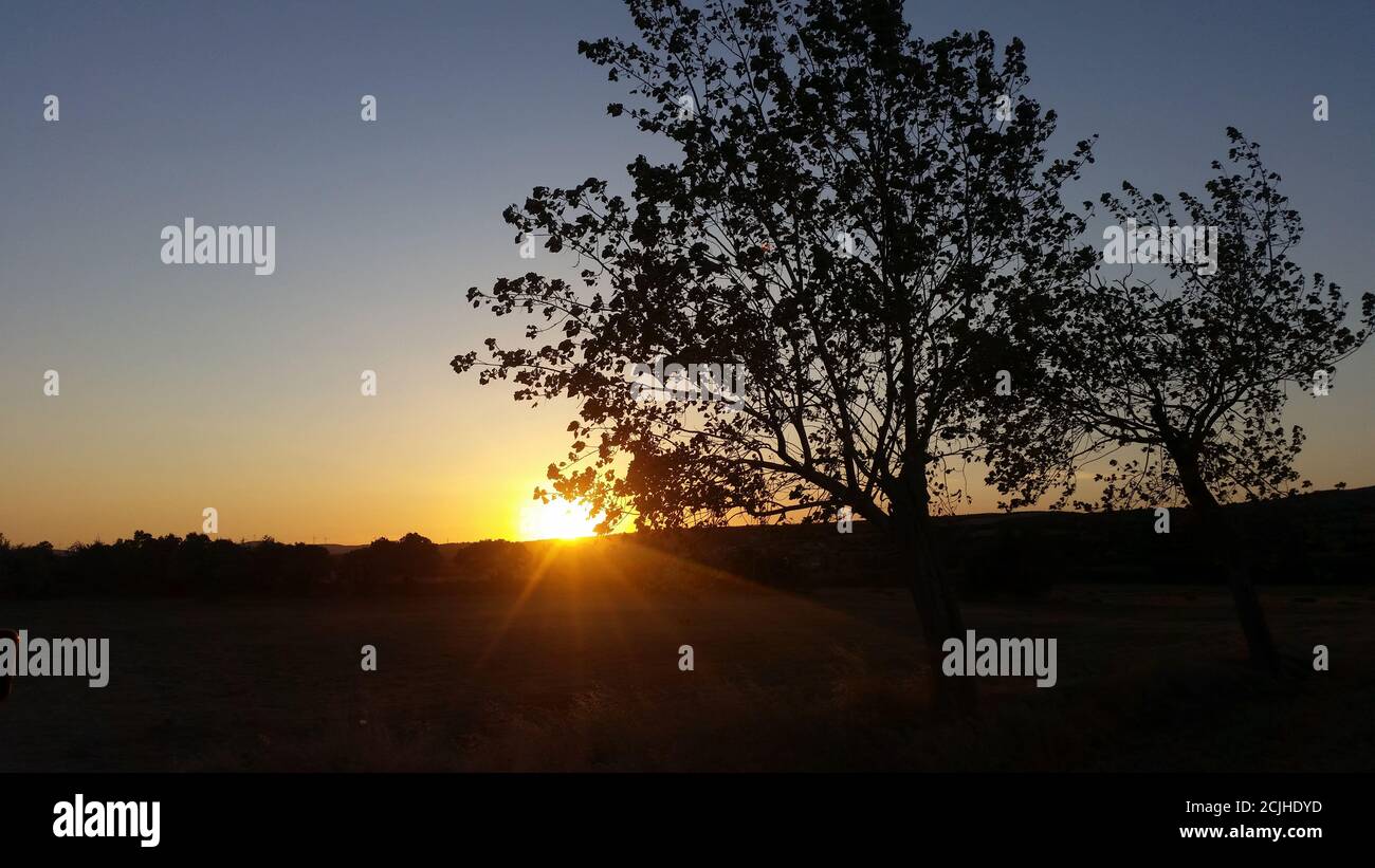Olive tree sunrise hi-res stock photography and images - Alamy