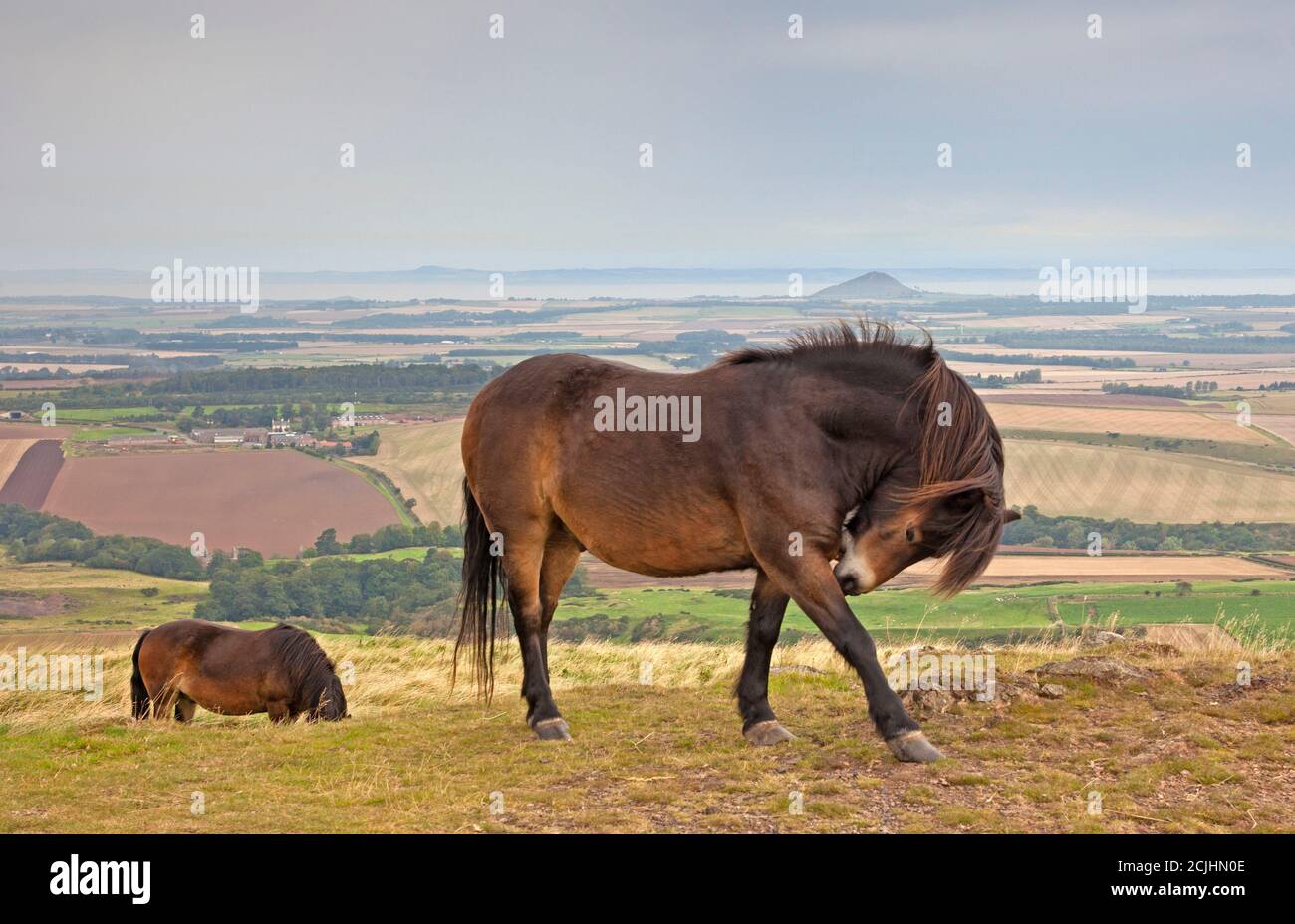 Traprain scotland hi-res stock photography and images - Alamy