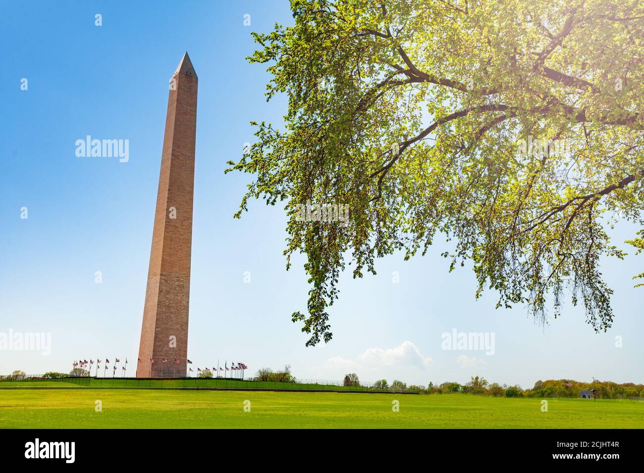 Monument obelisk tree hi-res stock photography and images - Alamy