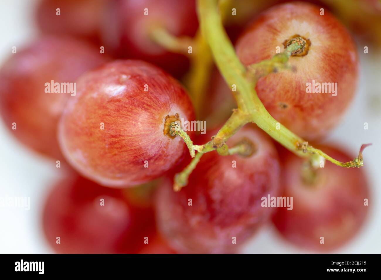 Dark red grapes hi-res stock photography and images - Alamy