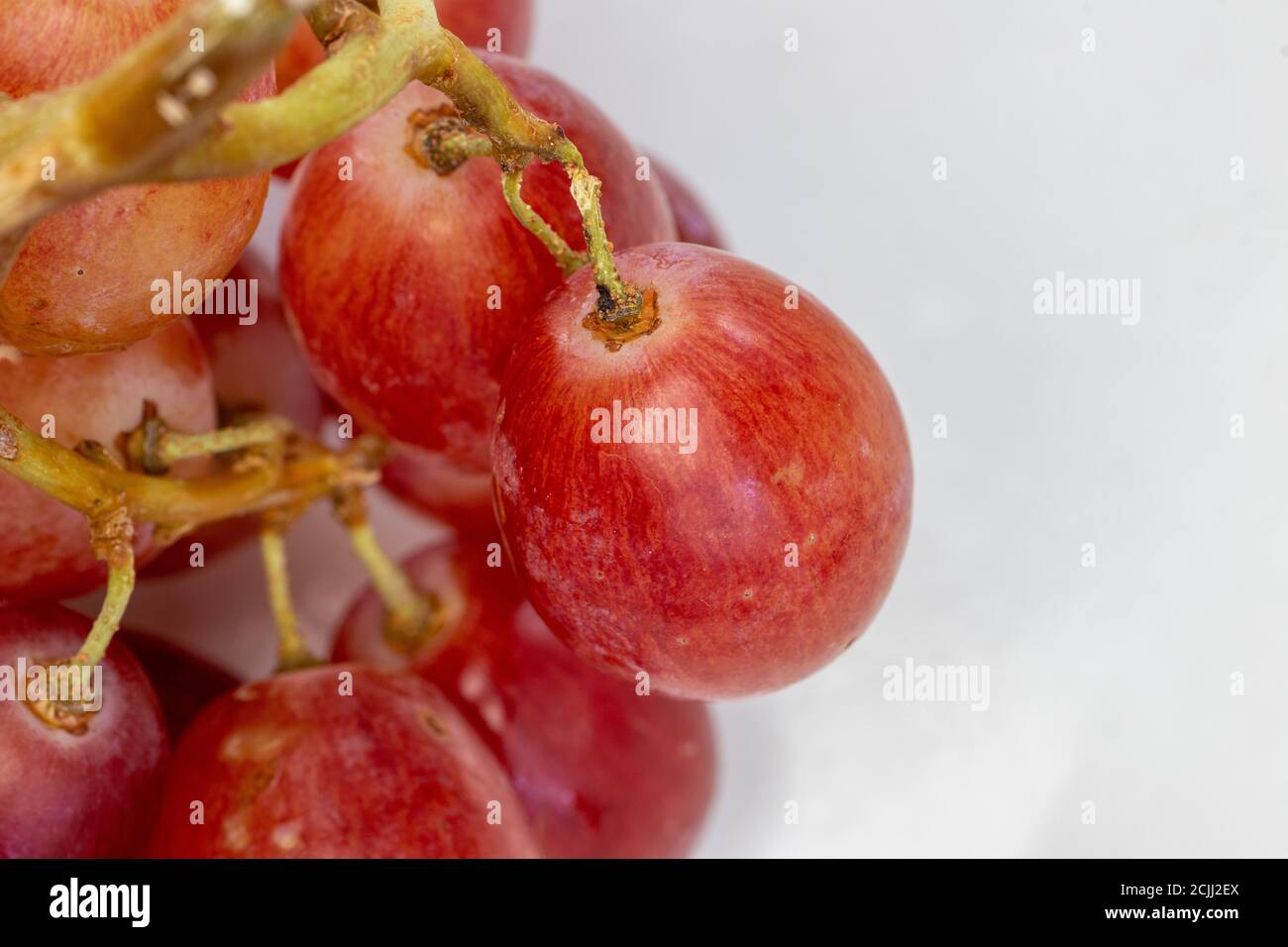 Close up of ripe and dark red grapes Stock Photo - Alamy