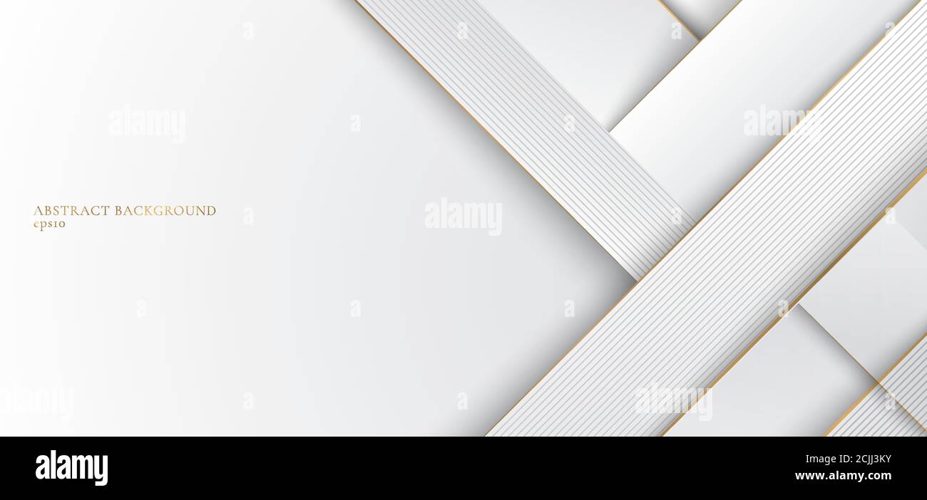 Abstract white and gray stripes with golden line elegant concept design ...