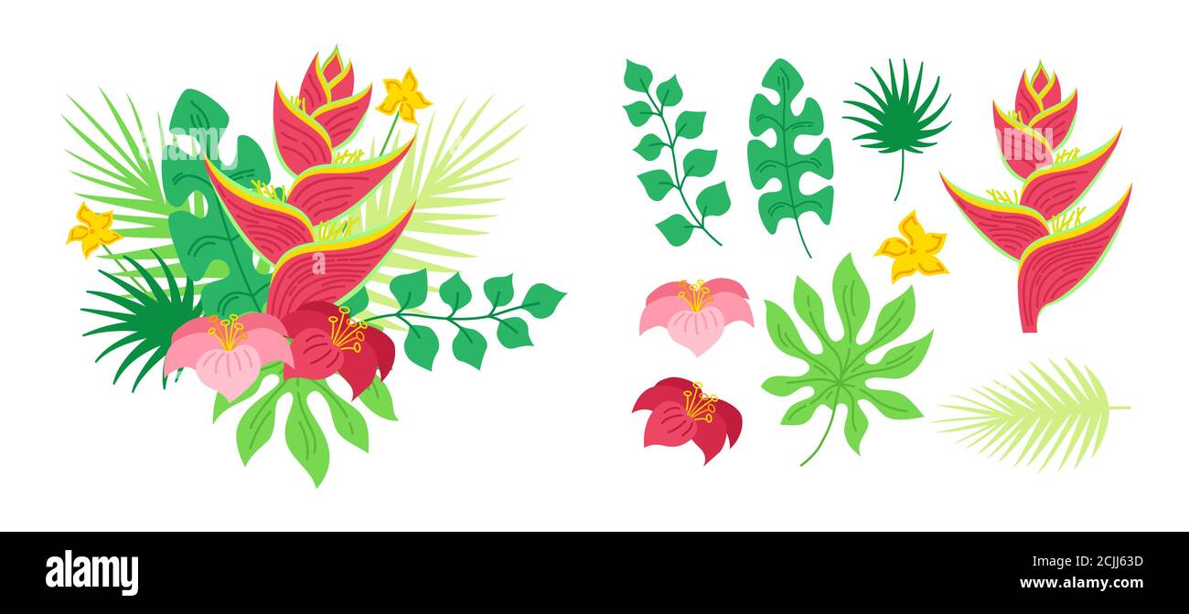 Tropical bouquet flowers of heliconia. Hawaiian cartoon card. Floral ...