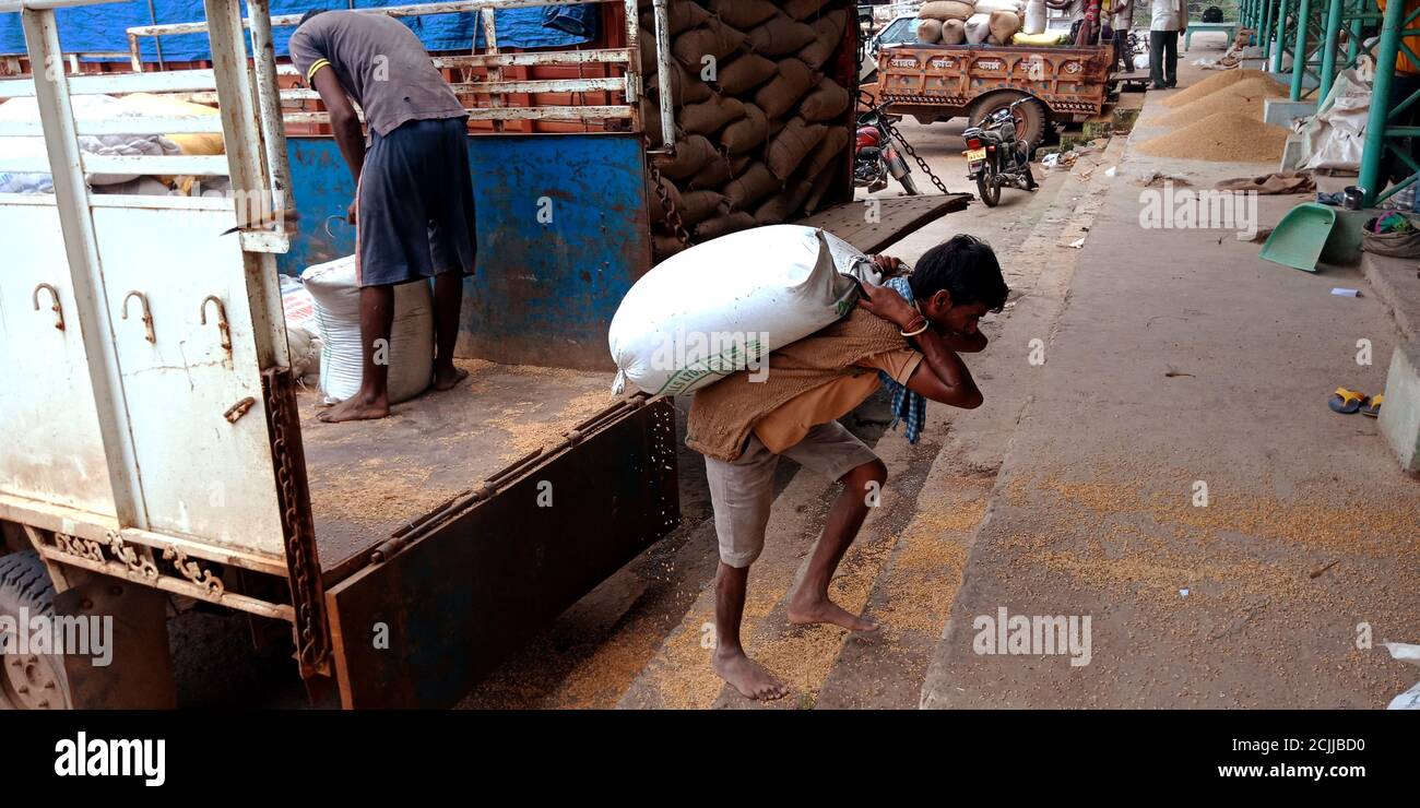 DISTRICT KATNI, INDIA - SEPTEMBER 18, 2019: Indian village labour ...