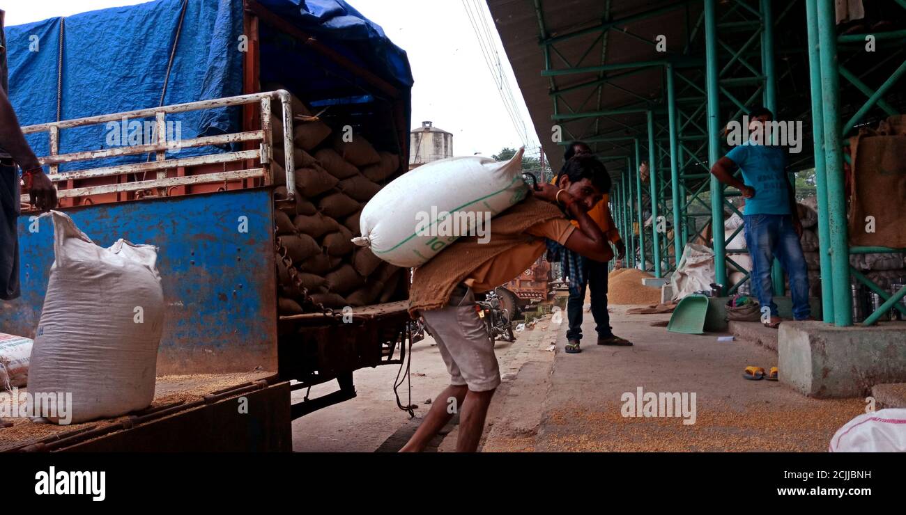 DISTRICT KATNI, INDIA - SEPTEMBER 18, 2019: Indian village male labour ...
