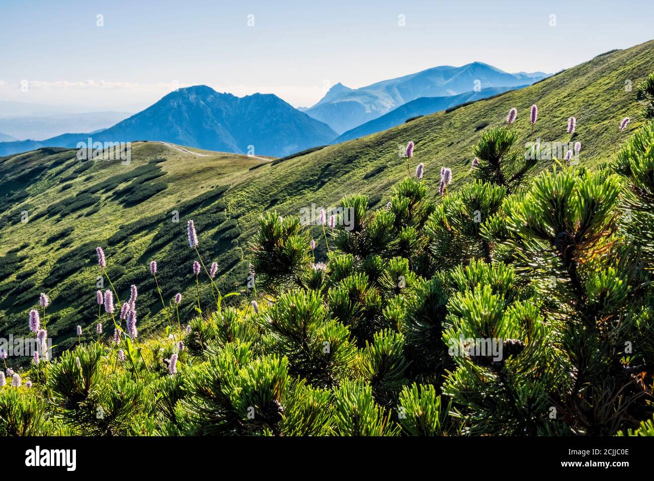 Western Tatras scenery from saddle Zabrat, Slovak republic. Hiking ...