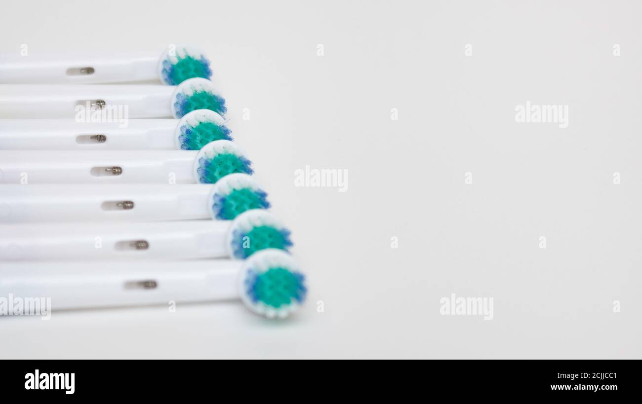 Parts of an electric toothbrush are laid out in a row, white background ...