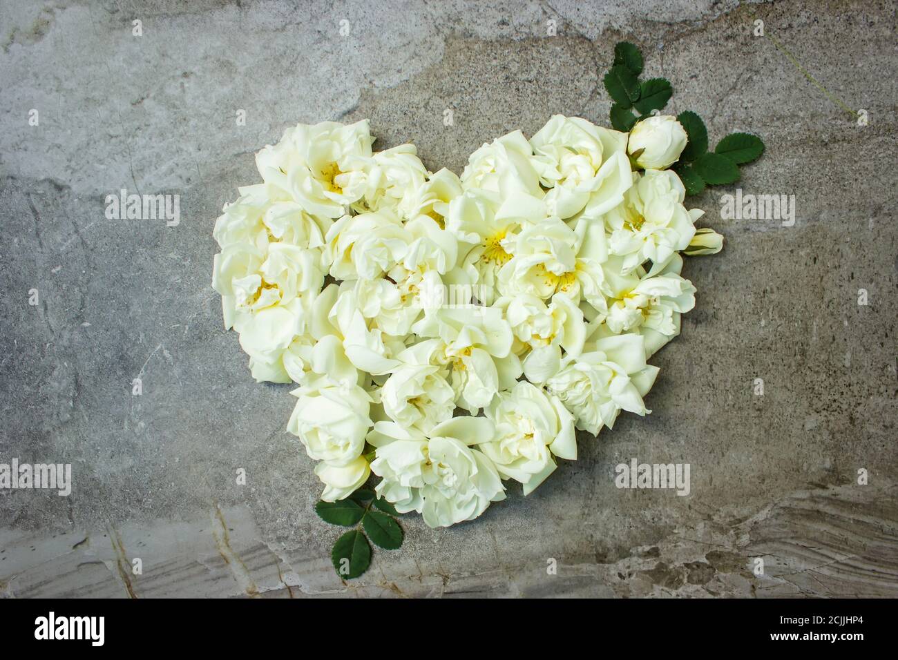 Happy birthday card with rose hi-res stock photography and images - Alamy