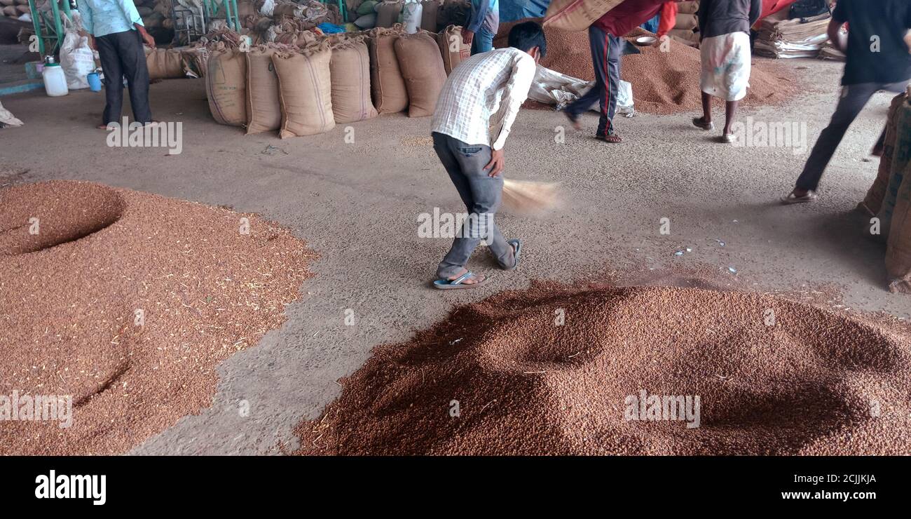 India wheat warehouse hi-res stock photography and images - Alamy