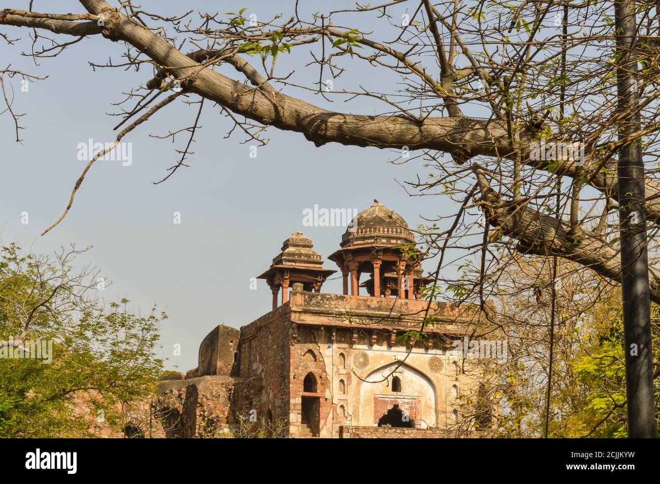 Side view mesmerizing red hi-res stock photography and images - Alamy