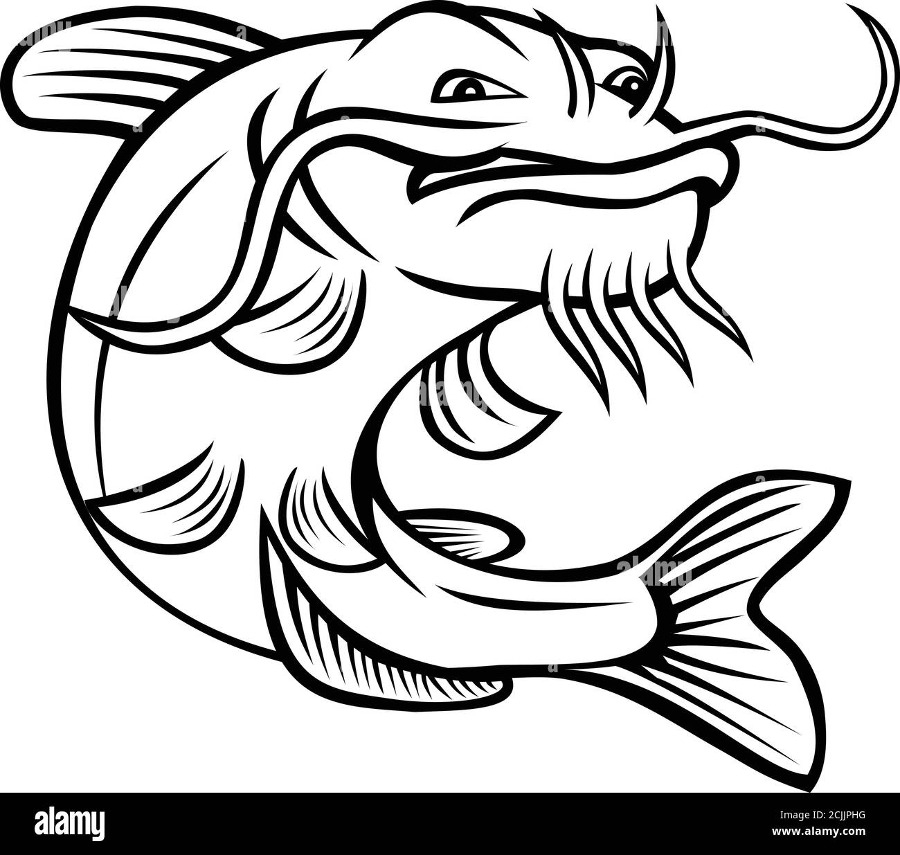 Cartoon style illustration of a channel catfish Ictalurus punctatus or ...