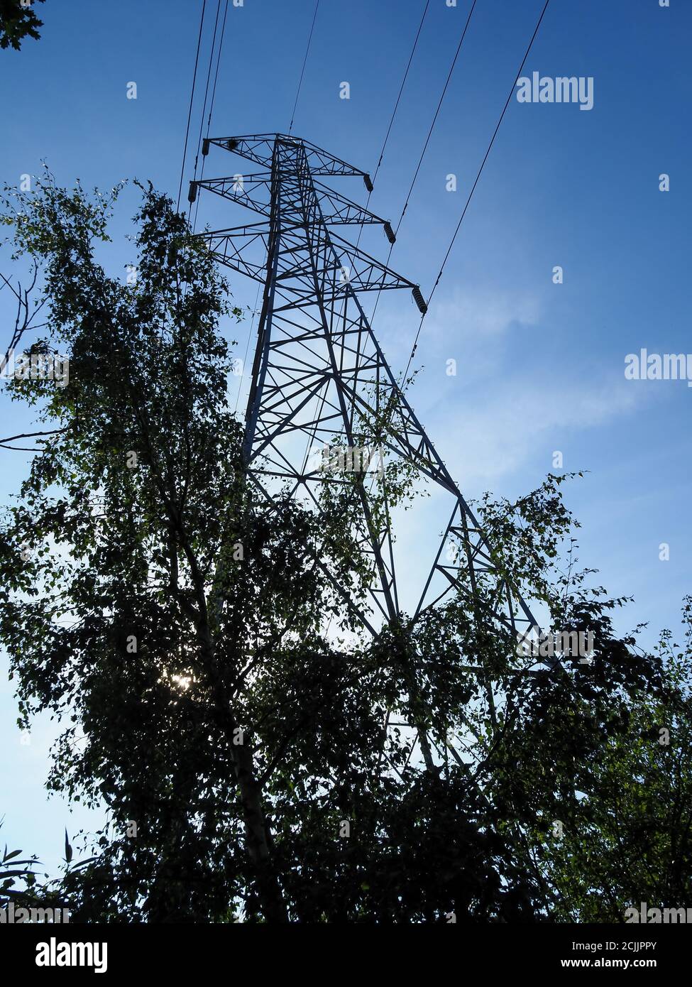 Tall electricity pylon seen from a low perspective against trees and a ...