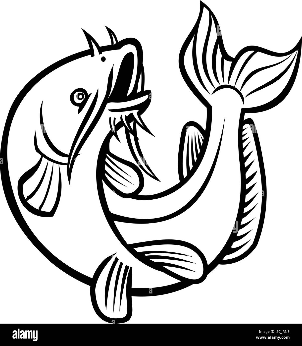 Cartoon or caricature style illustration of a blue catfish Ictalurus ...