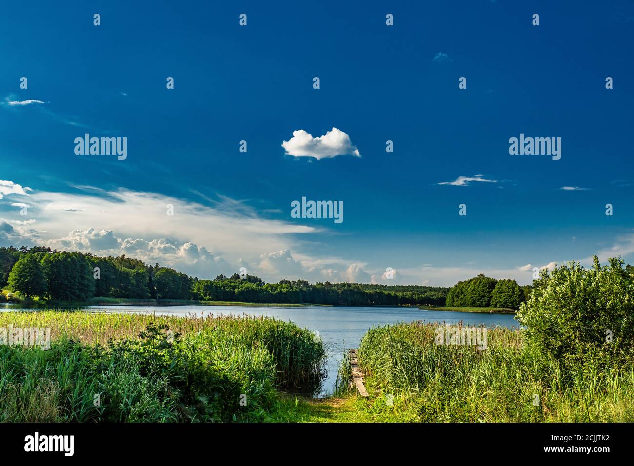 Countryside Lake and Forest Panorama. Sunny Summer Landscape With Blue ...