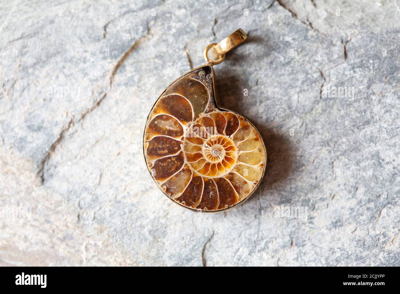 Amonite hi-res stock photography and images - Alamy