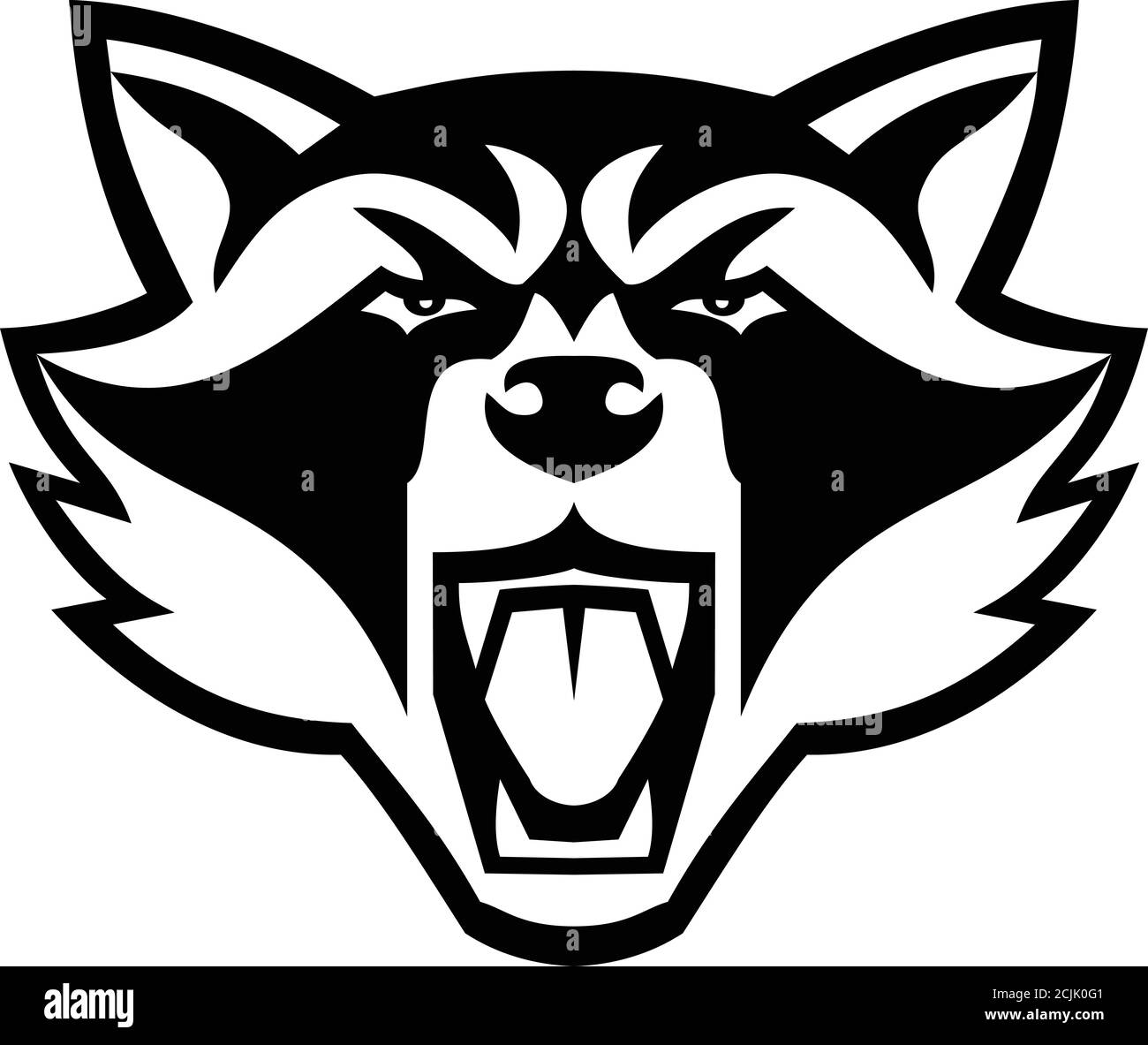 Mascot illustration of head of an angry raccoon, North American raccoon ...