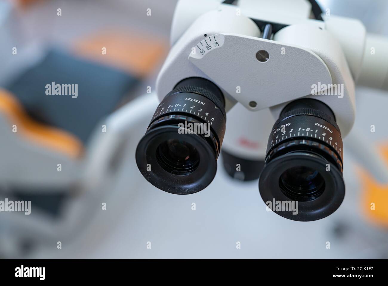 The image of the professional Dental endodontic binocular microscope ...