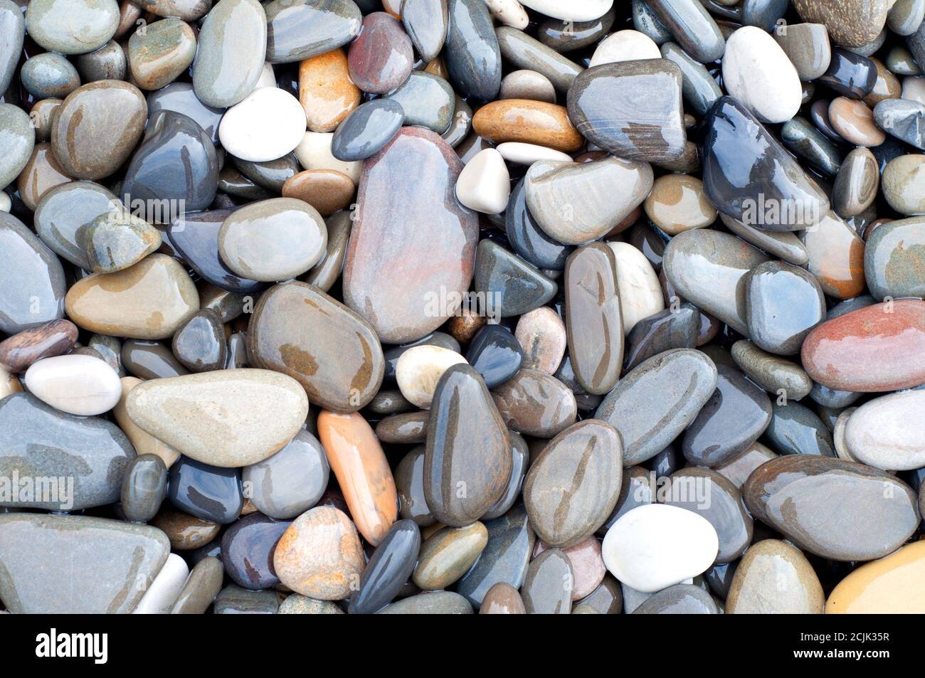 Natural texture background, colorful sea stones in water, top view ...