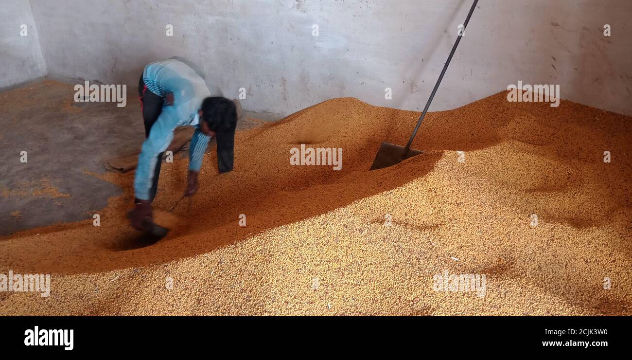 India wheat warehouse hi-res stock photography and images - Alamy