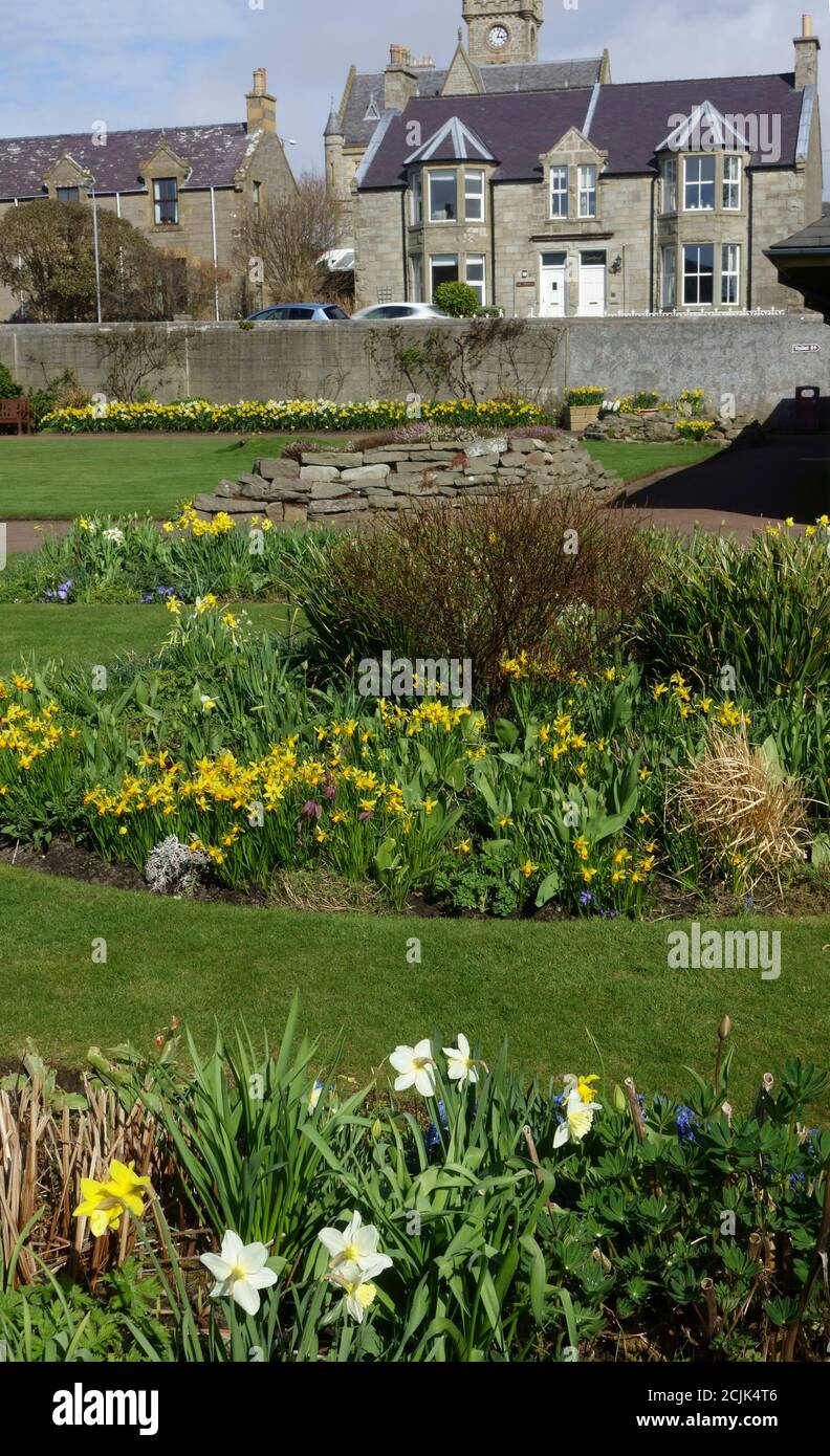 Jubilee flower beds hi-res stock photography and images - Alamy
