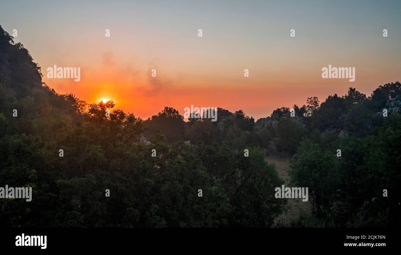 Orange sunset with rough shadows from the top of the trees Stock Photo ...