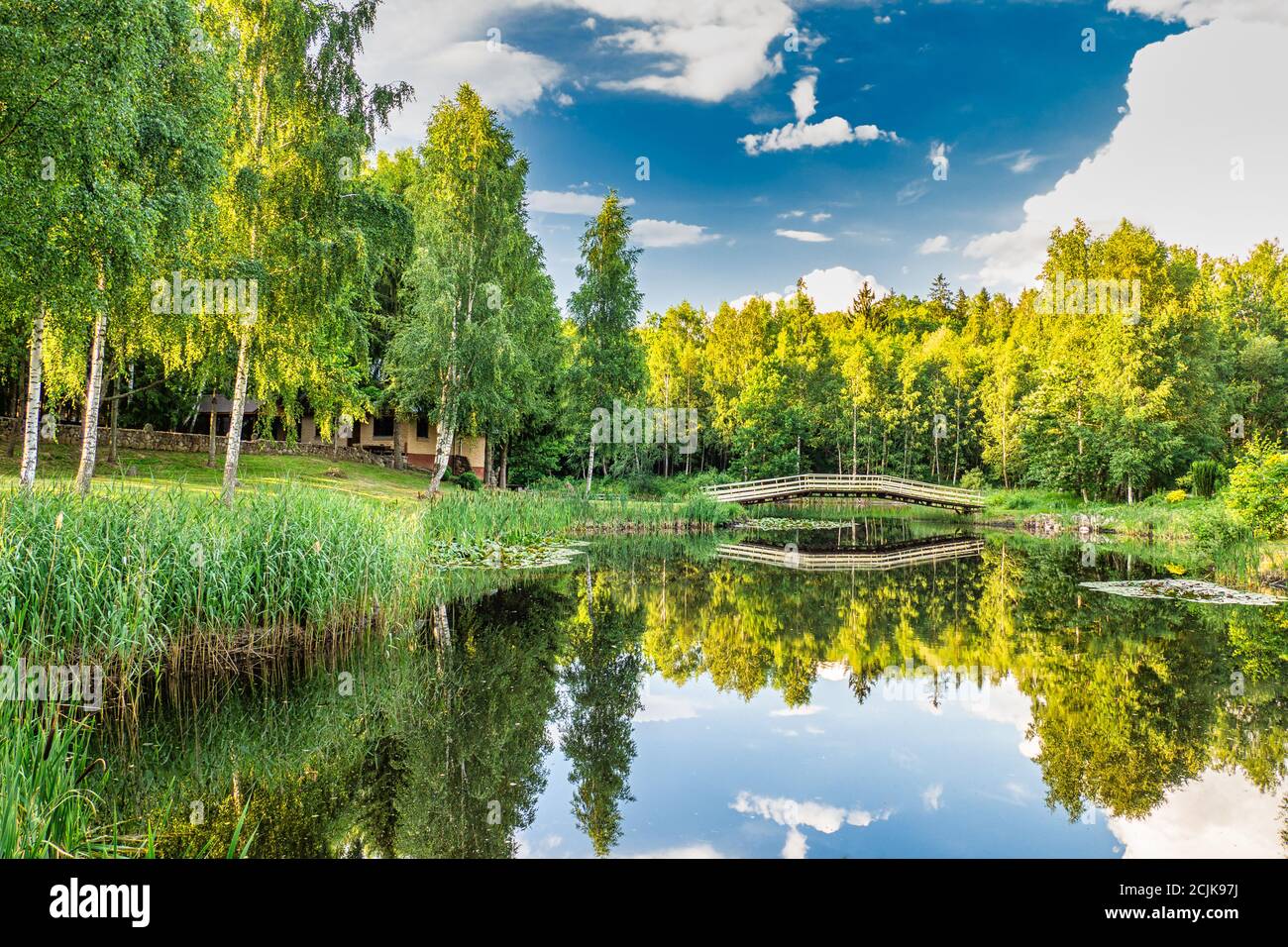 Countryside House near Lake and Forest Panorama. Sunny Summer Landscape ...