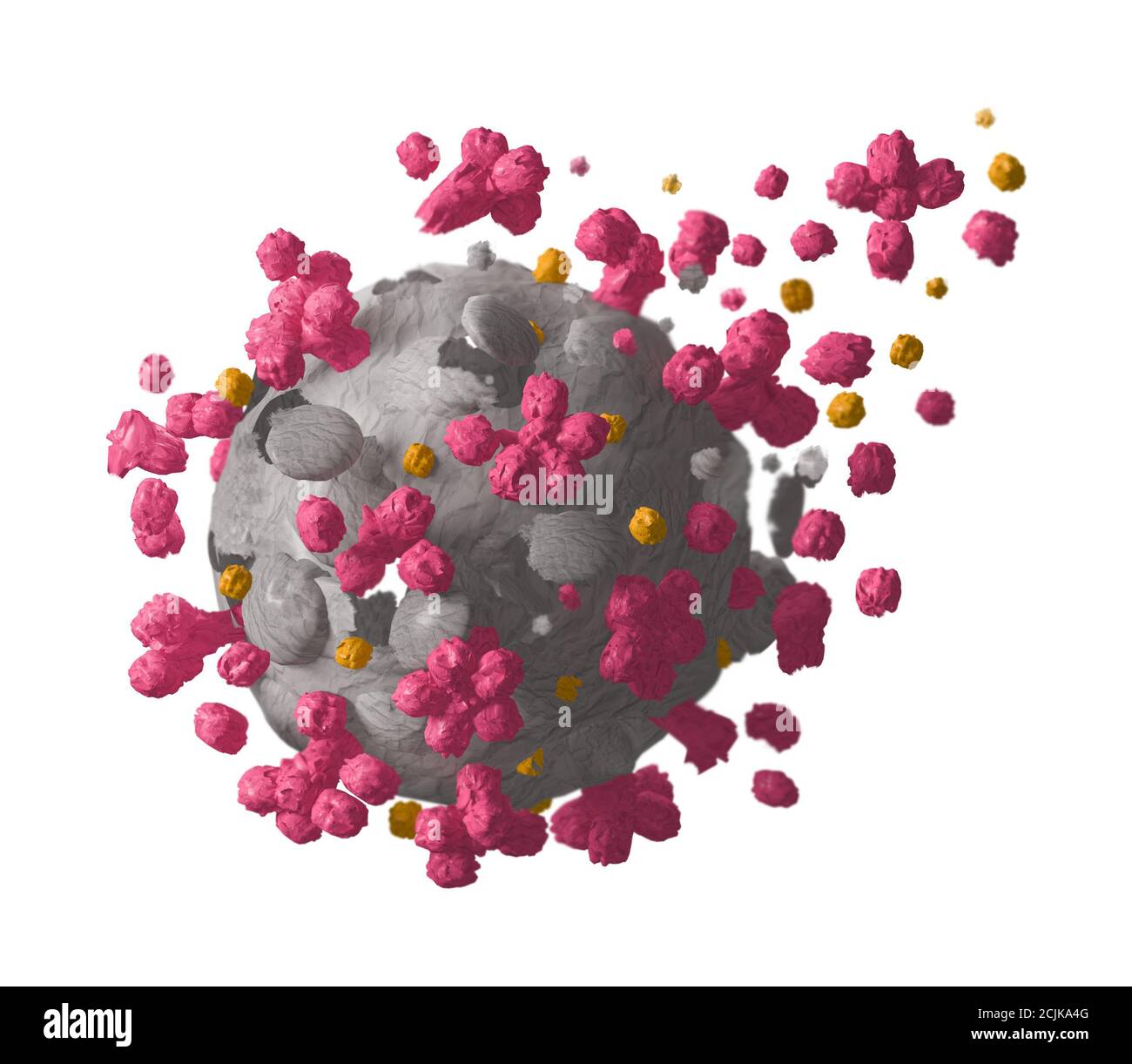 Corona virus destroyed, scatterin and breaking into pieces 3D Stock ...