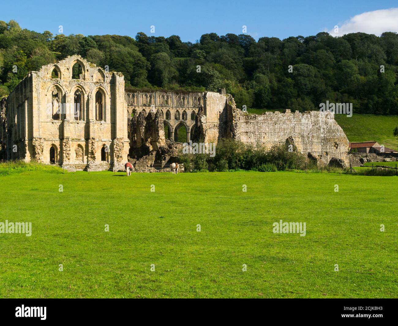 English monasteries hi-res stock photography and images - Alamy