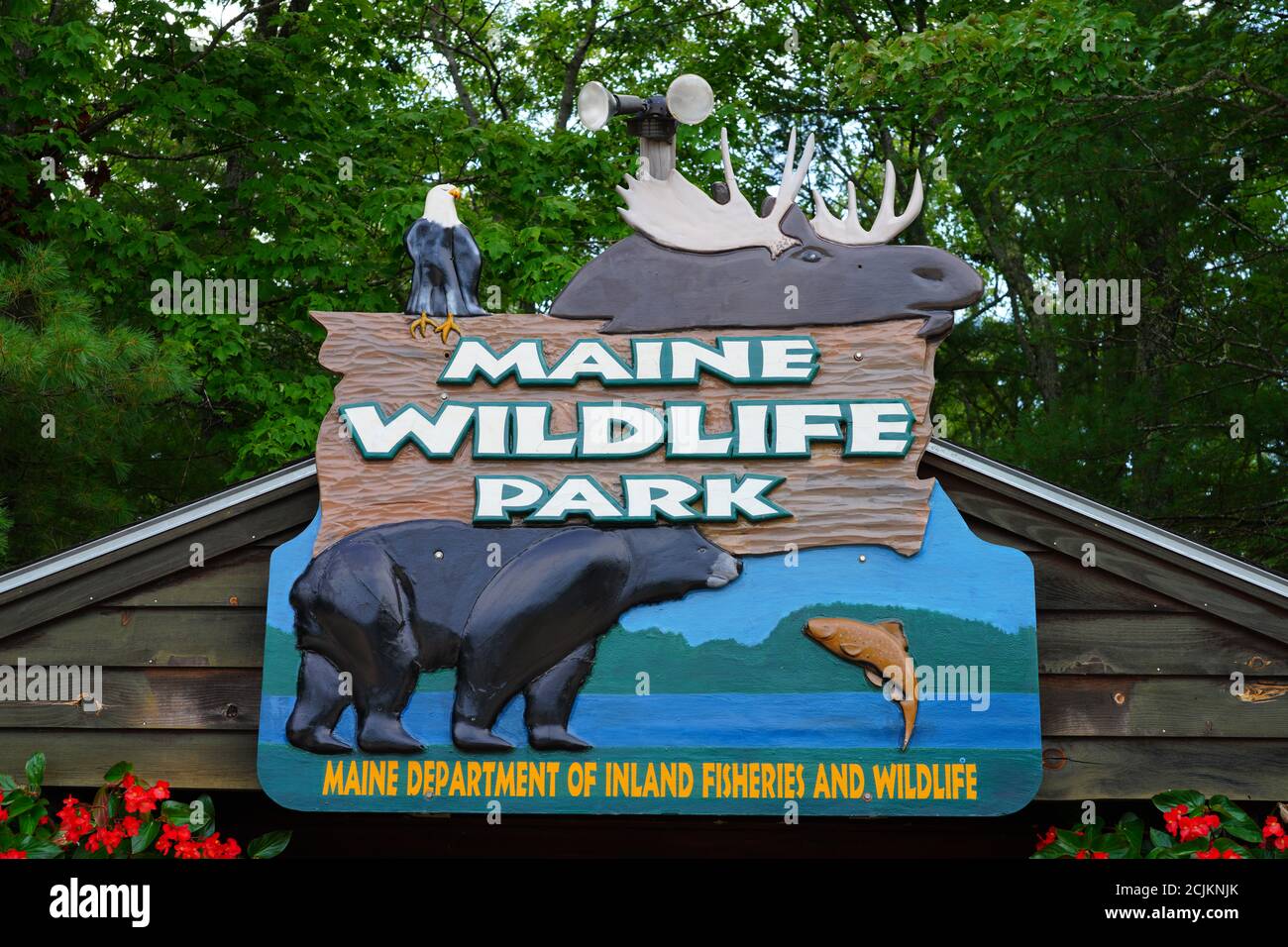 GRAY, ME –9 AUG 2020- View of the Maine Wildlife Park, a sanctuary ran by the Maine Department ...