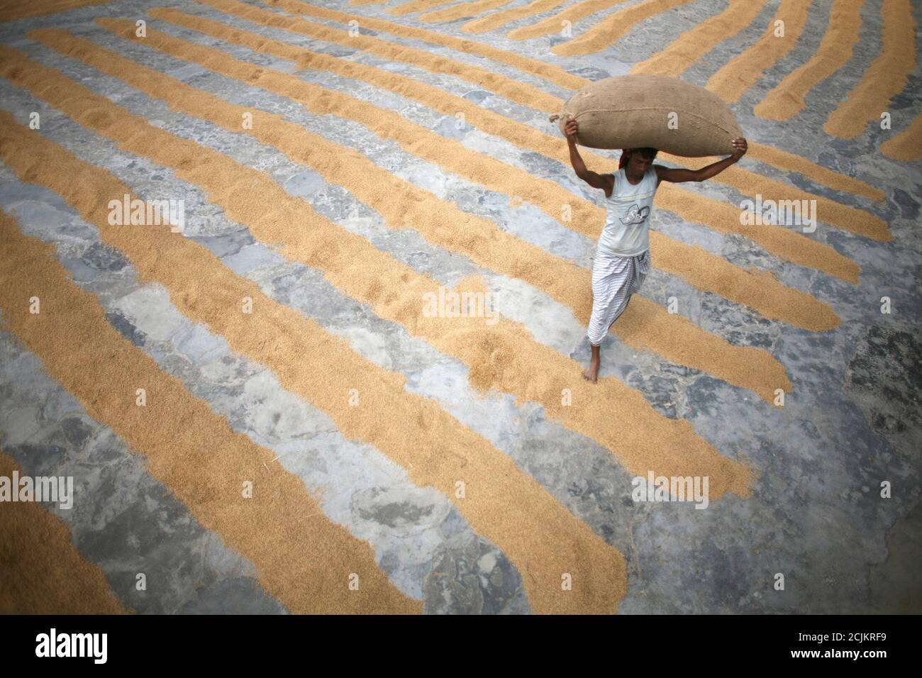 Man Carrying Sack Rice On High Resolution Stock Photography and Images ...